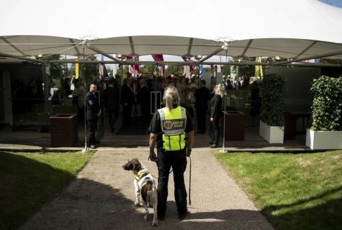 Sectors - K9 Deployment